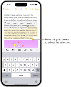 How to copy and paste on your iPhone | GeeksChalk
