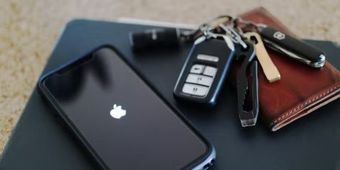 How to fix a flashing Apple logo on iPhone, iPad, and Apple Watch ...