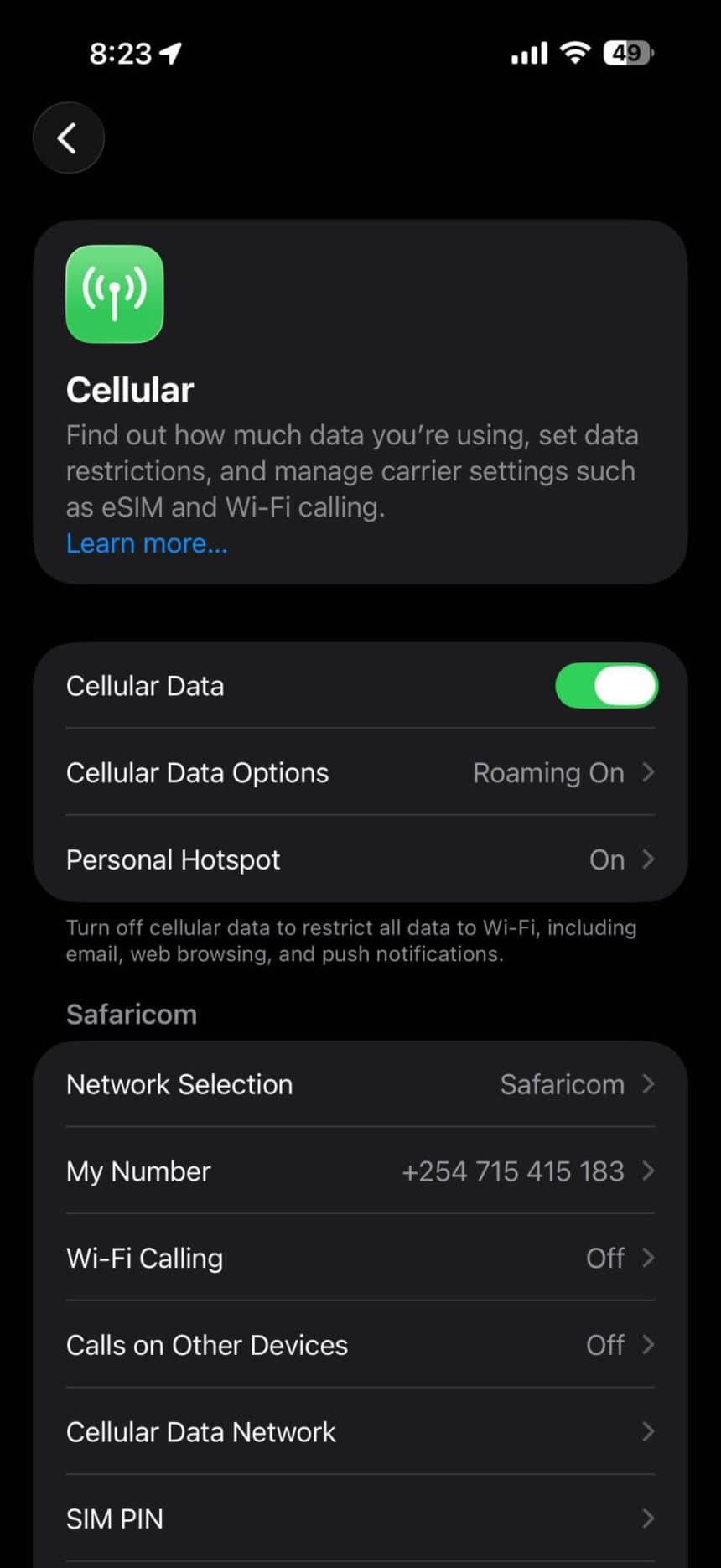 Traveling Internationally? How to Turn Off Data Roaming on Your iPhone ...